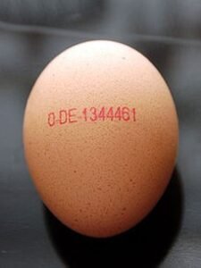 Short Guide to Egg Labeling in EU | Foodcazt | Food Magazine